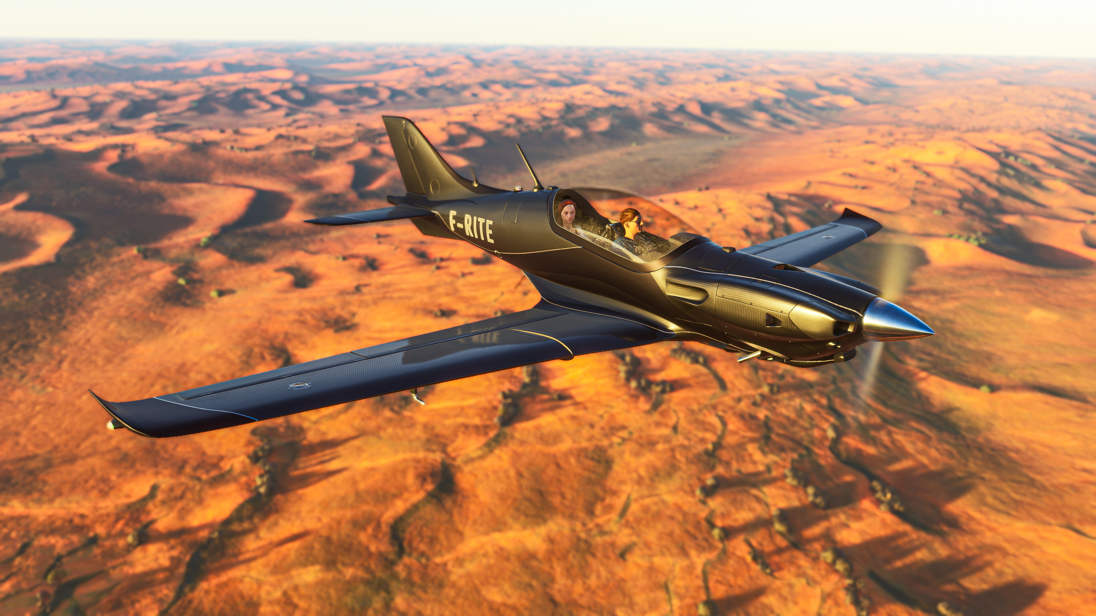 Flying Fries Gabriel BK160-TR - Orbx